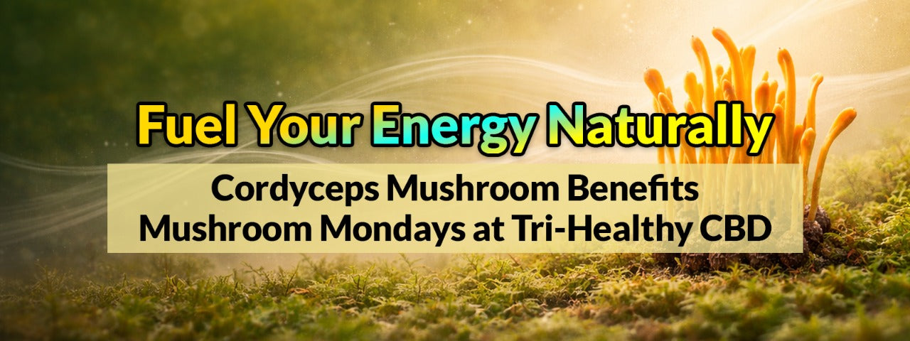 Cordyceps Mushroom Benefits | Tri-Healthy – Tri-Healthy Hemp